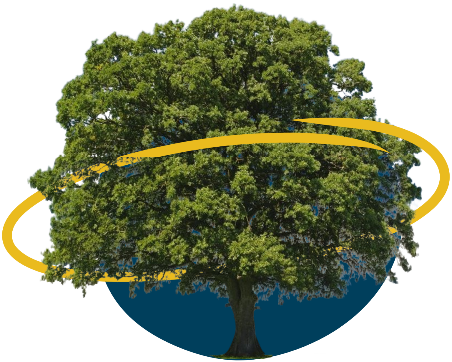 Lead generation & engagement tools | Twenty7tec - Twenty7Tec